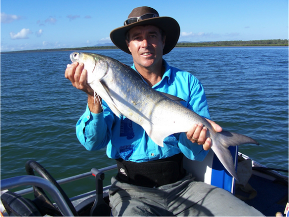 BLUE-THREADFIN – Suntag