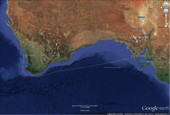 MAP – Suntag